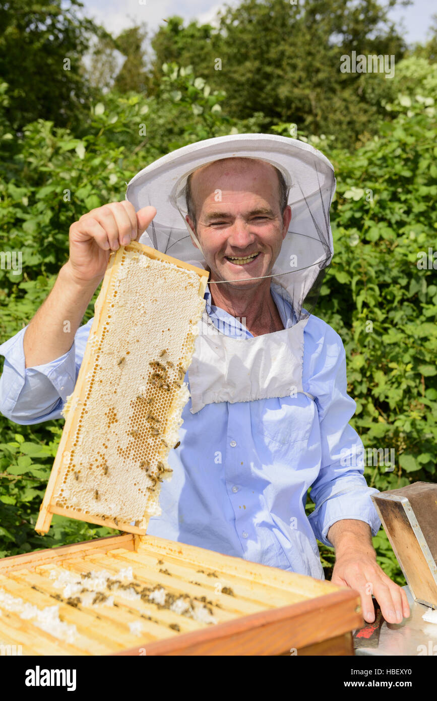 Beekeeper at work Stock Photo - Alamy