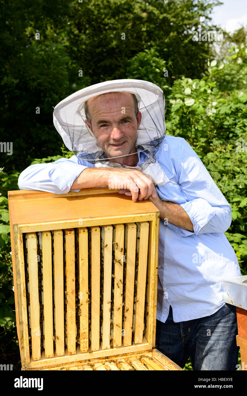 Beekeeper at work Stock Photo - Alamy