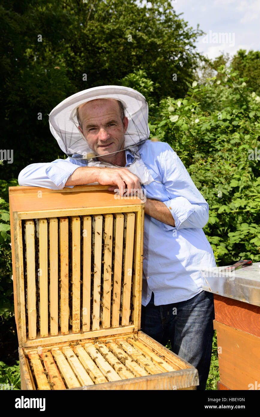 Beekeeper at work Stock Photo - Alamy