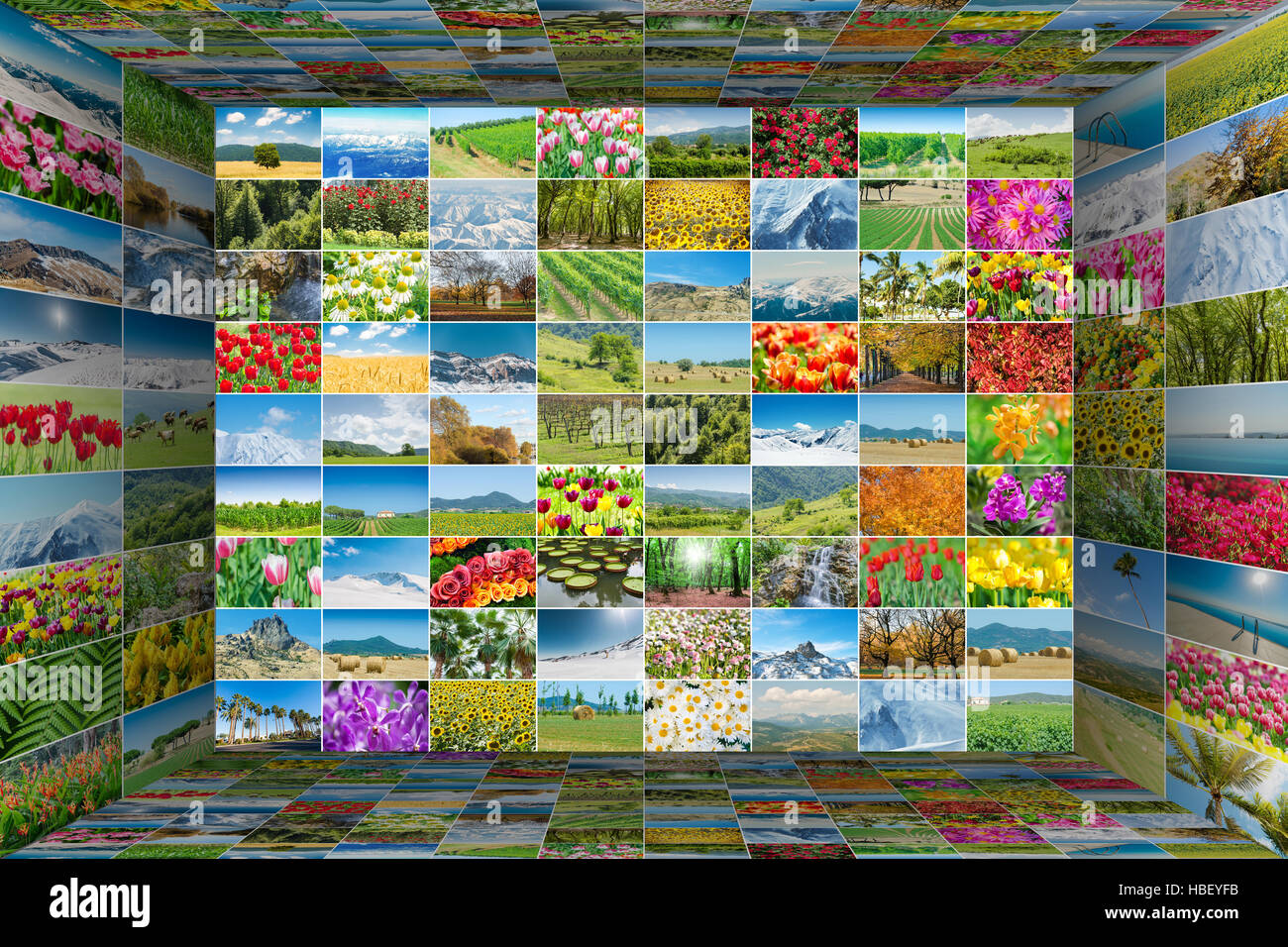Collage of many nature photos Stock Photo - Alamy