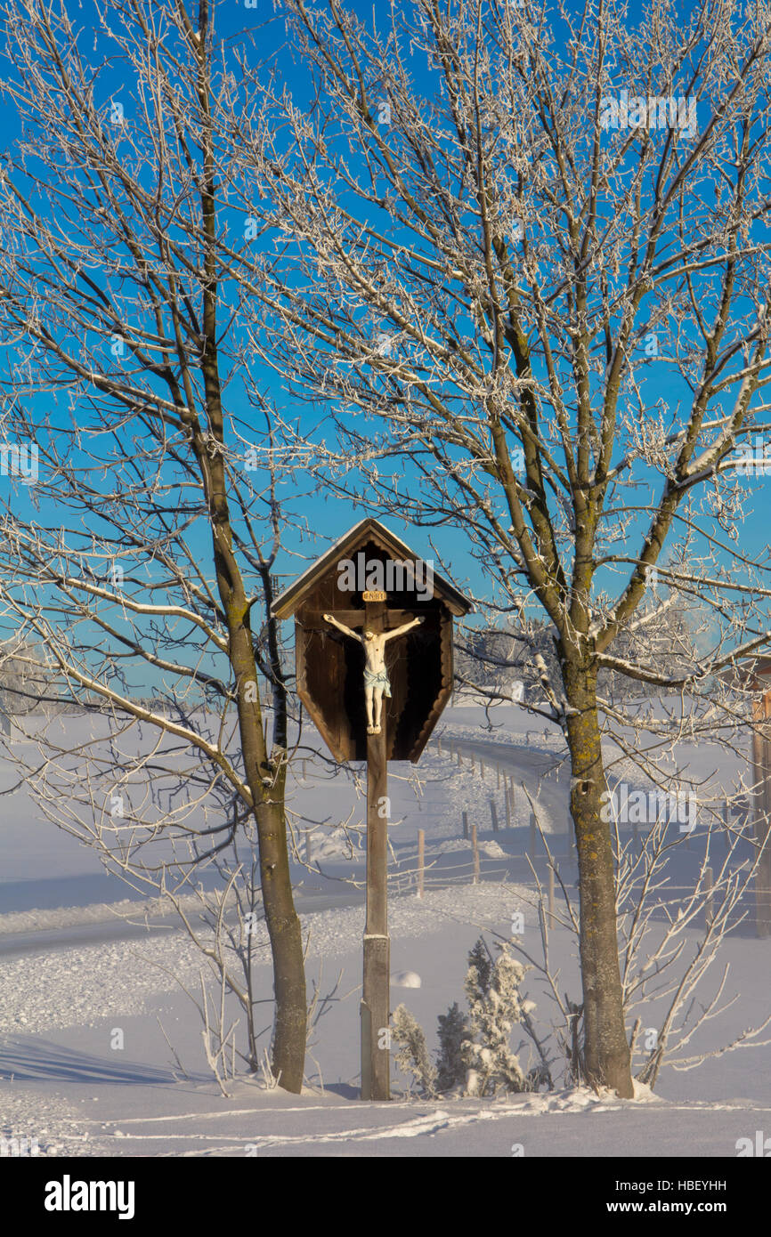 Between Two Trees High Resolution Stock Photography and Images - Alamy