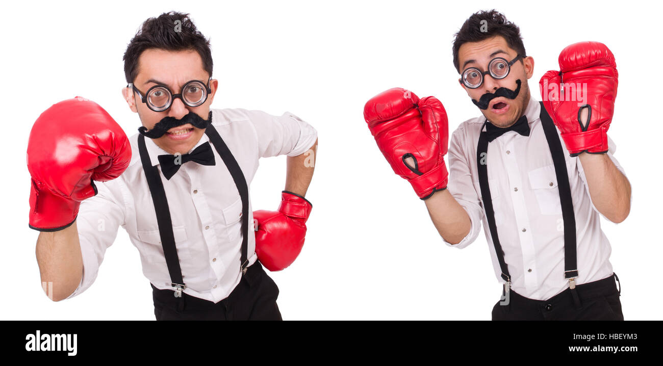 Funny boxer isolated on the white background Stock Photo - Alamy