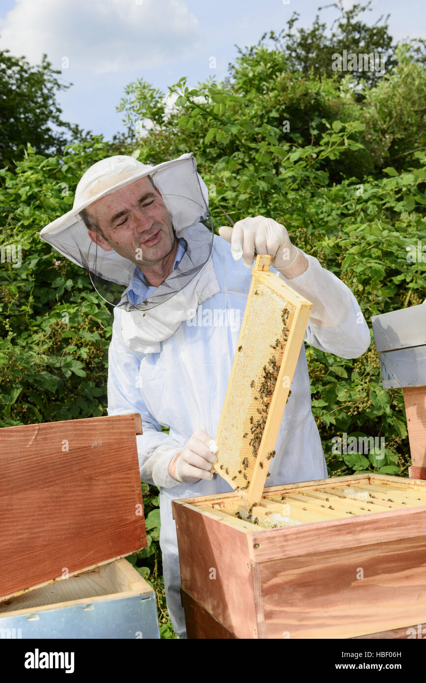 Work attitude hi-res stock photography and images - Alamy