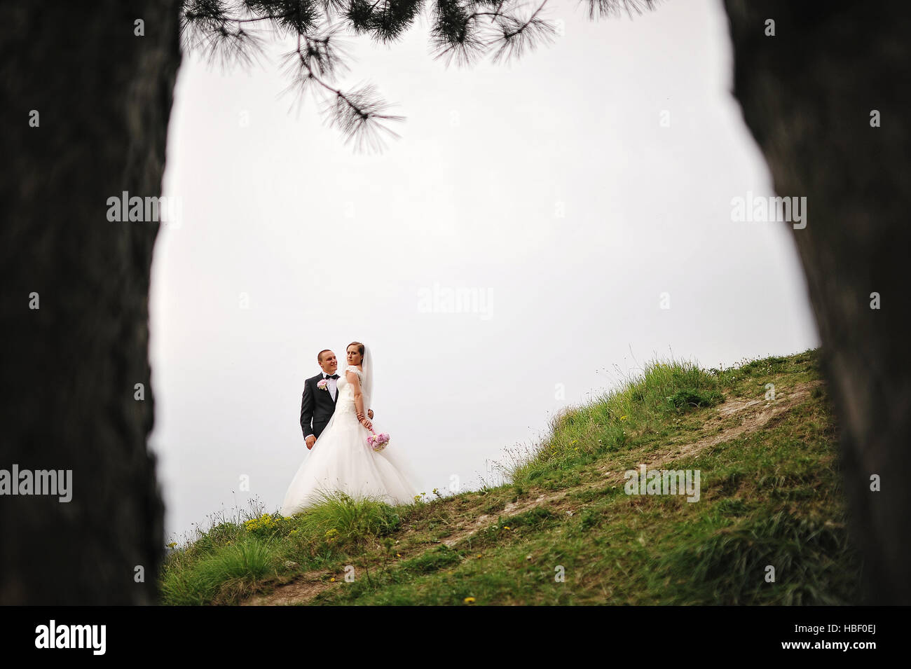 Wedding trees hi-res stock photography and images - Alamy