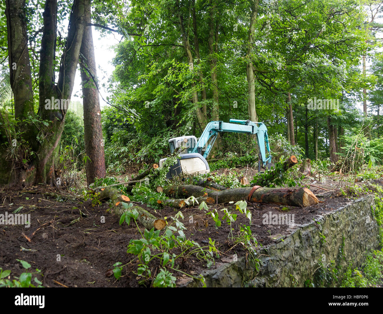 Logging machine hi-res stock photography and images - Alamy