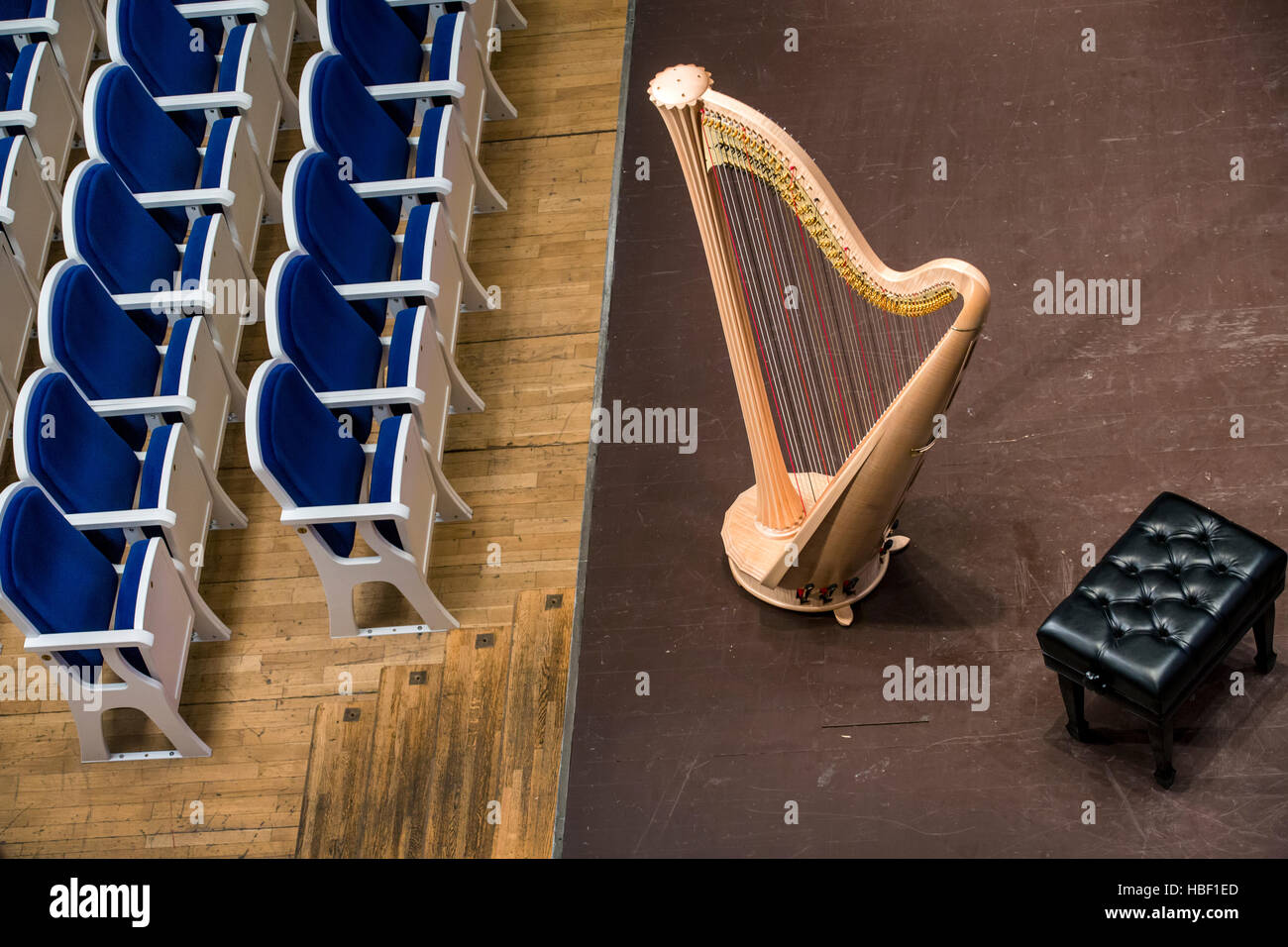 Top view of classical harp on the stage before the concert Stock Photo ...