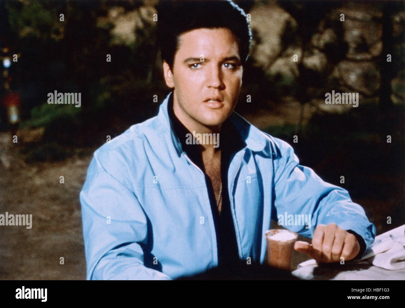 SPINOUT, Elvis Presley, 1966 Stock Photo - Alamy