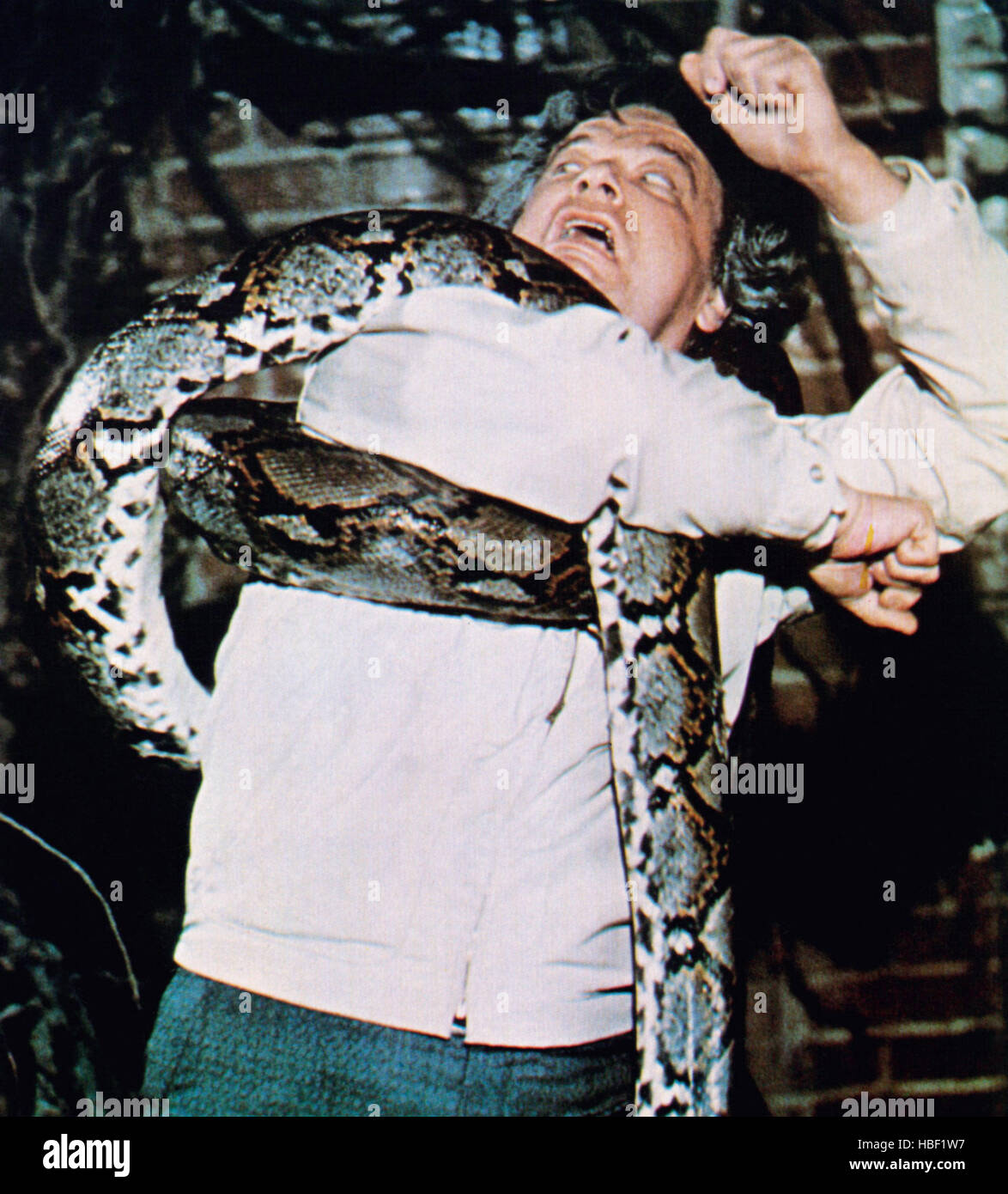SSSSSSS, Richard B. Shull, 1973 Stock Photo - Alamy