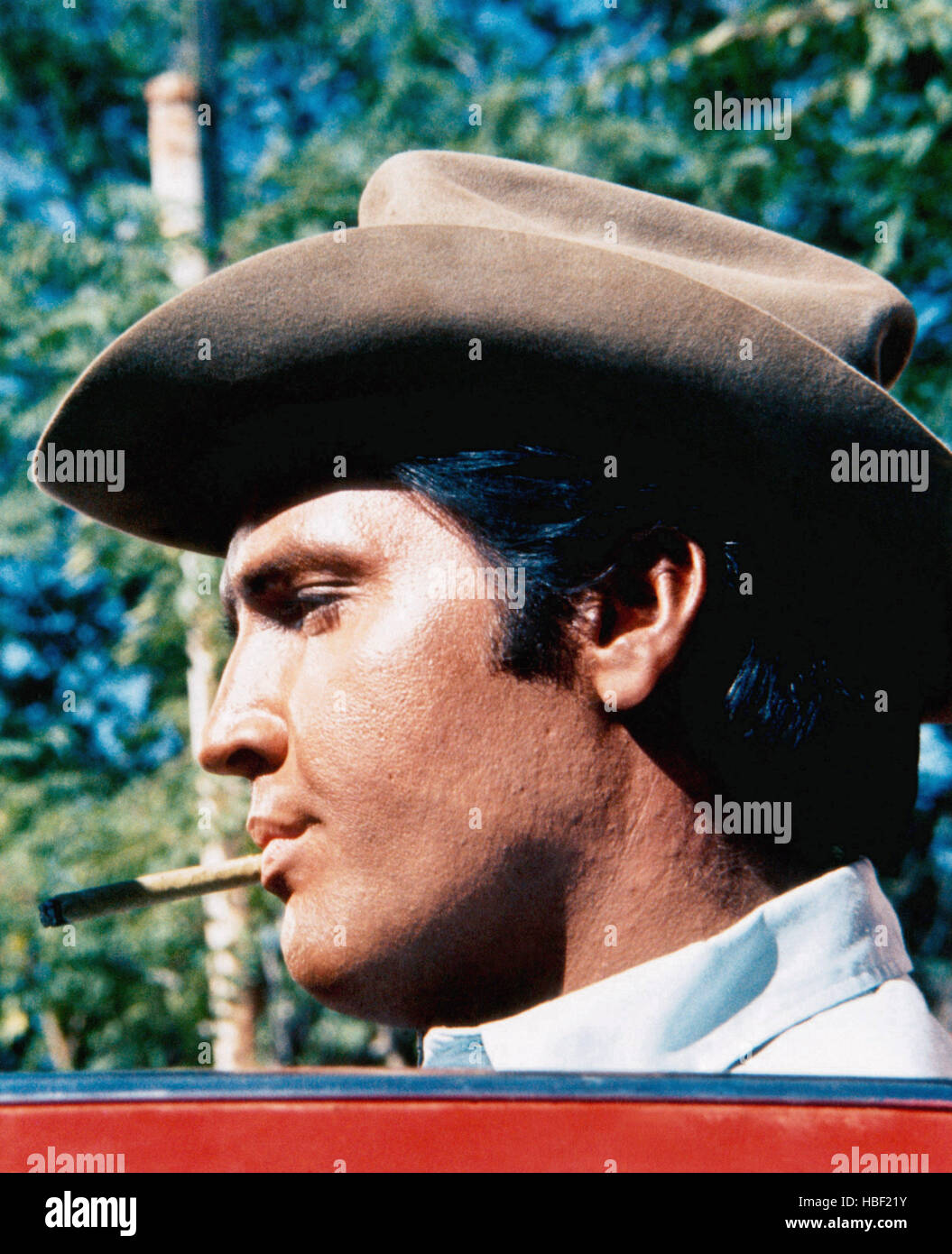 STAY AWAY, JOE, Elvis Presley, 1968 Stock Photo - Alamy