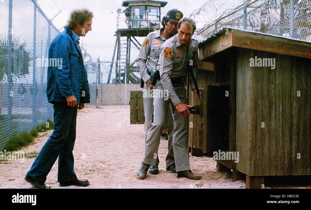 STIR CRAZY, front from left: Gene Wilder, Craig T. Nelson, 1980 ...