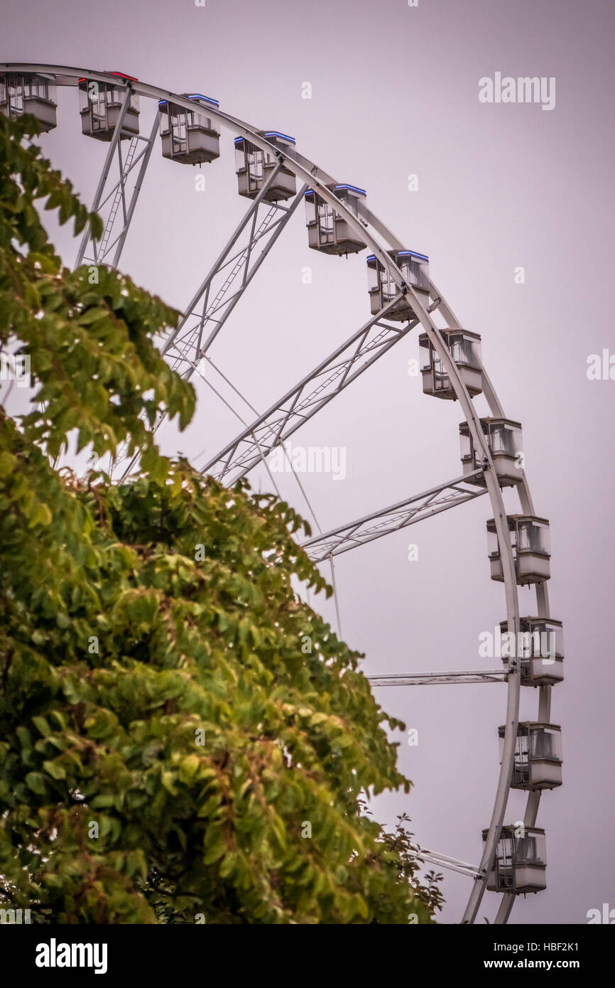 Torquay palm tree hi-res stock photography and images - Alamy