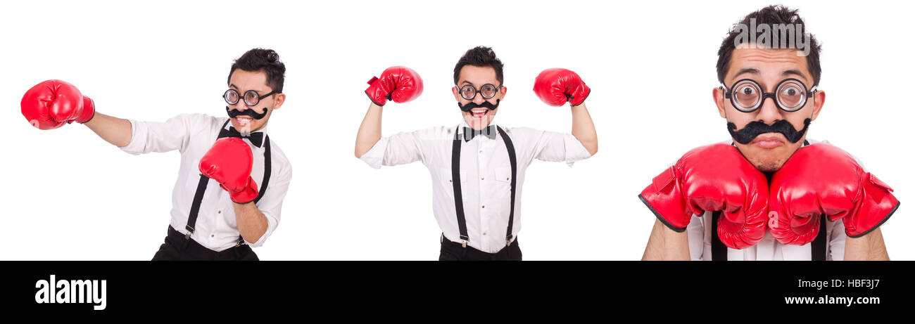 Funny boxer isolated on the white background Stock Photo - Alamy