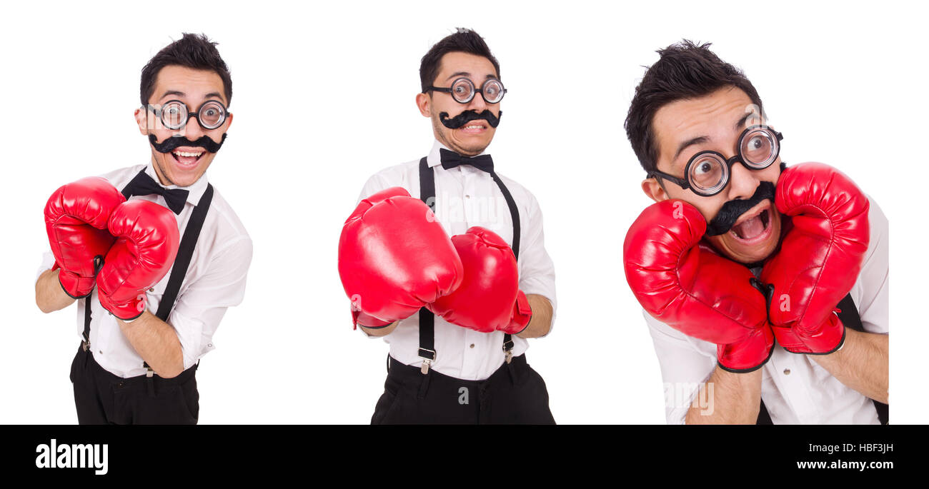 Funny boxer isolated on the white background Stock Photo - Alamy