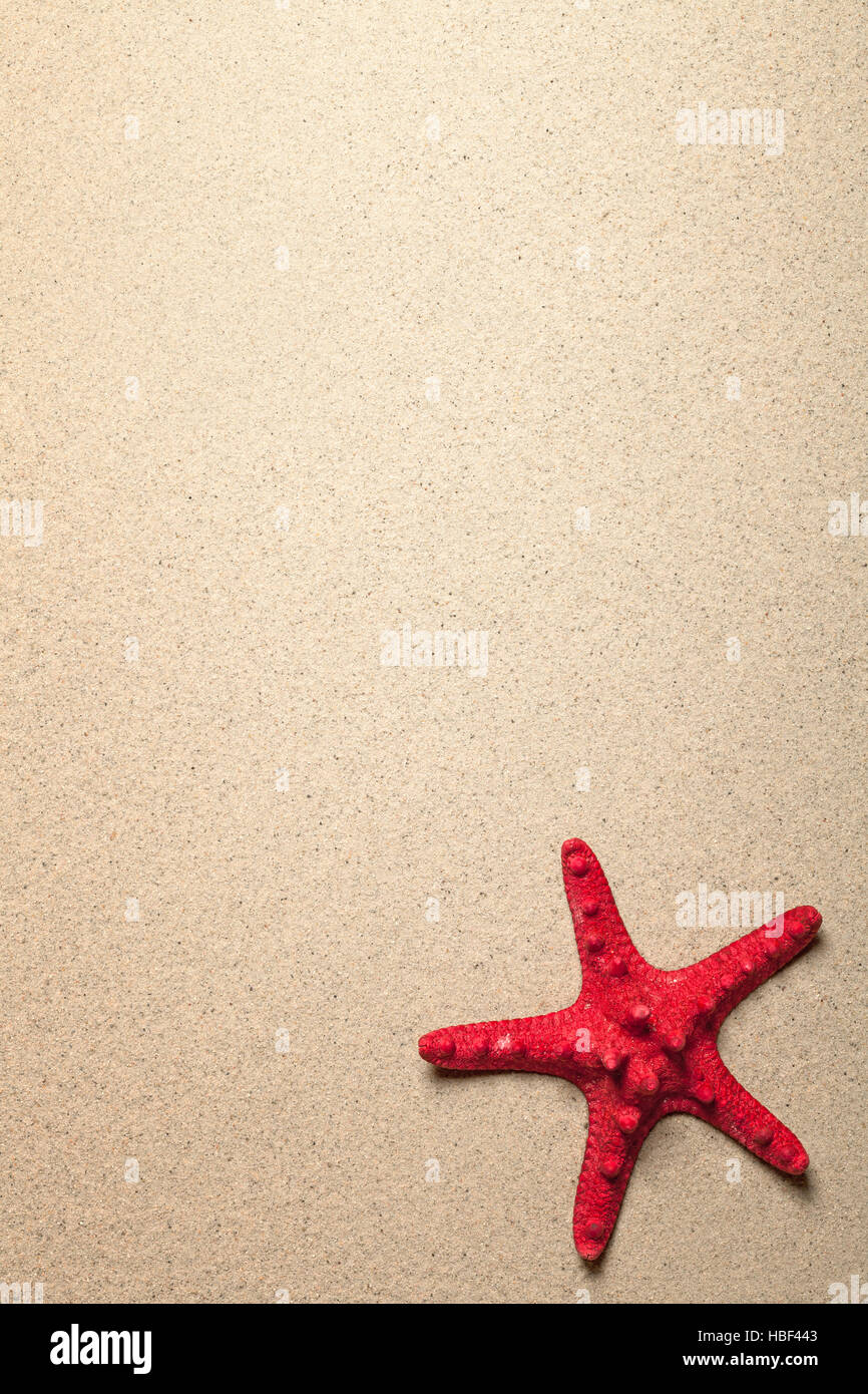 Starfish beach sand texture hi-res stock photography and images - Alamy