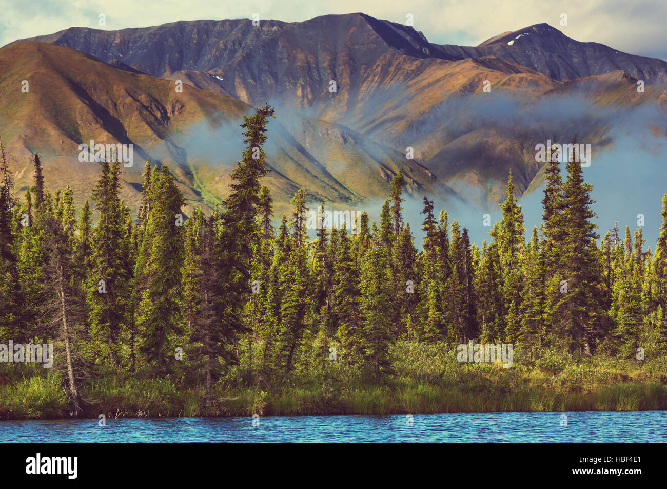 Mountains in Alaska Stock Photo - Alamy