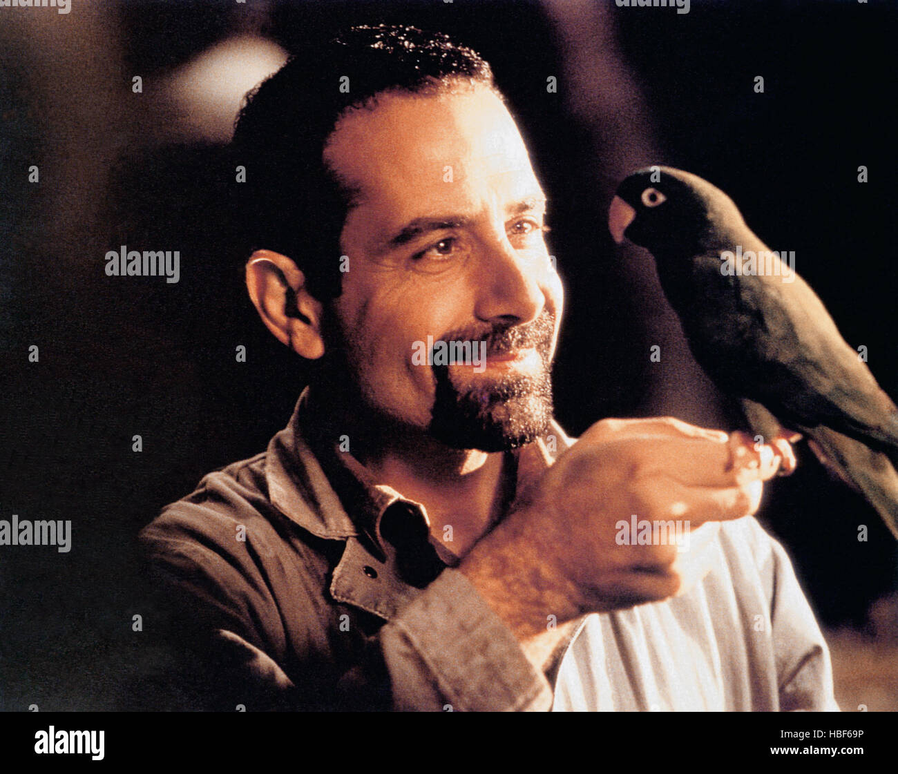 PAULIE, Tony Shalhoub, Paulie the parrot, 1998, © DreamWorks/courtesy ...