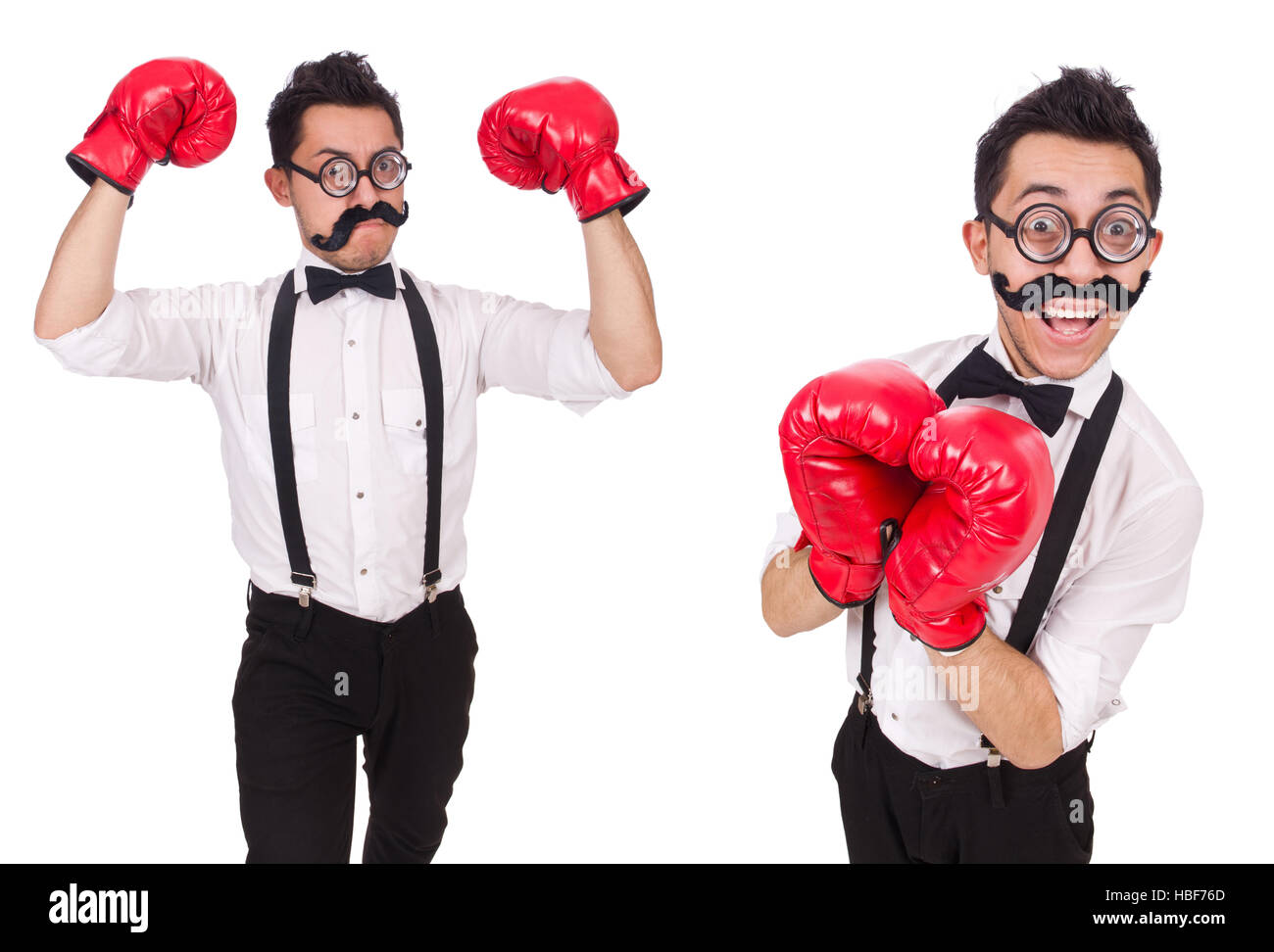 Funny boxer isolated on the white background Stock Photo - Alamy