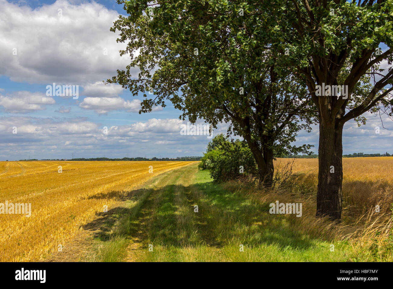 Weg pfad hi-res stock photography and images - Alamy
