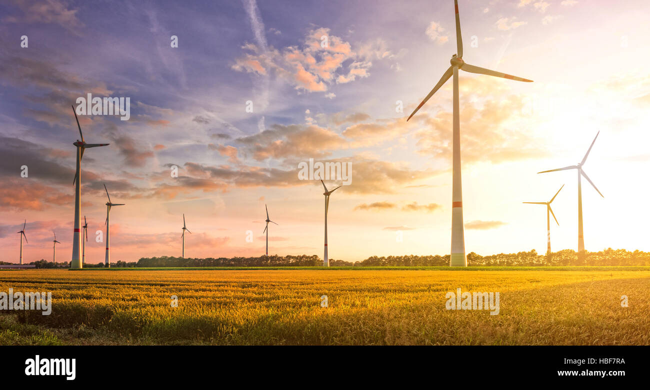 wind turbine field Stock Photo - Alamy