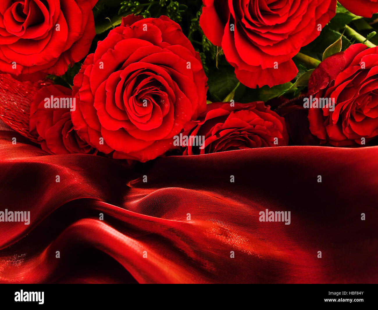 Fragile roses hi-res stock photography and images - Alamy