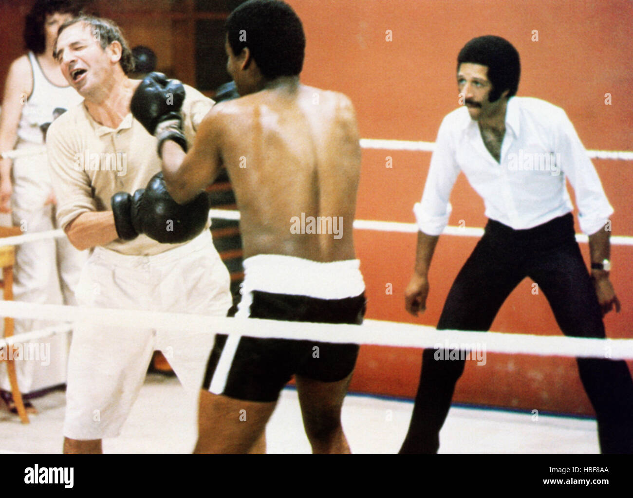 RISING DAMP, boxing from left: Leonard Rossiter, Don Warrington, 1980 ...