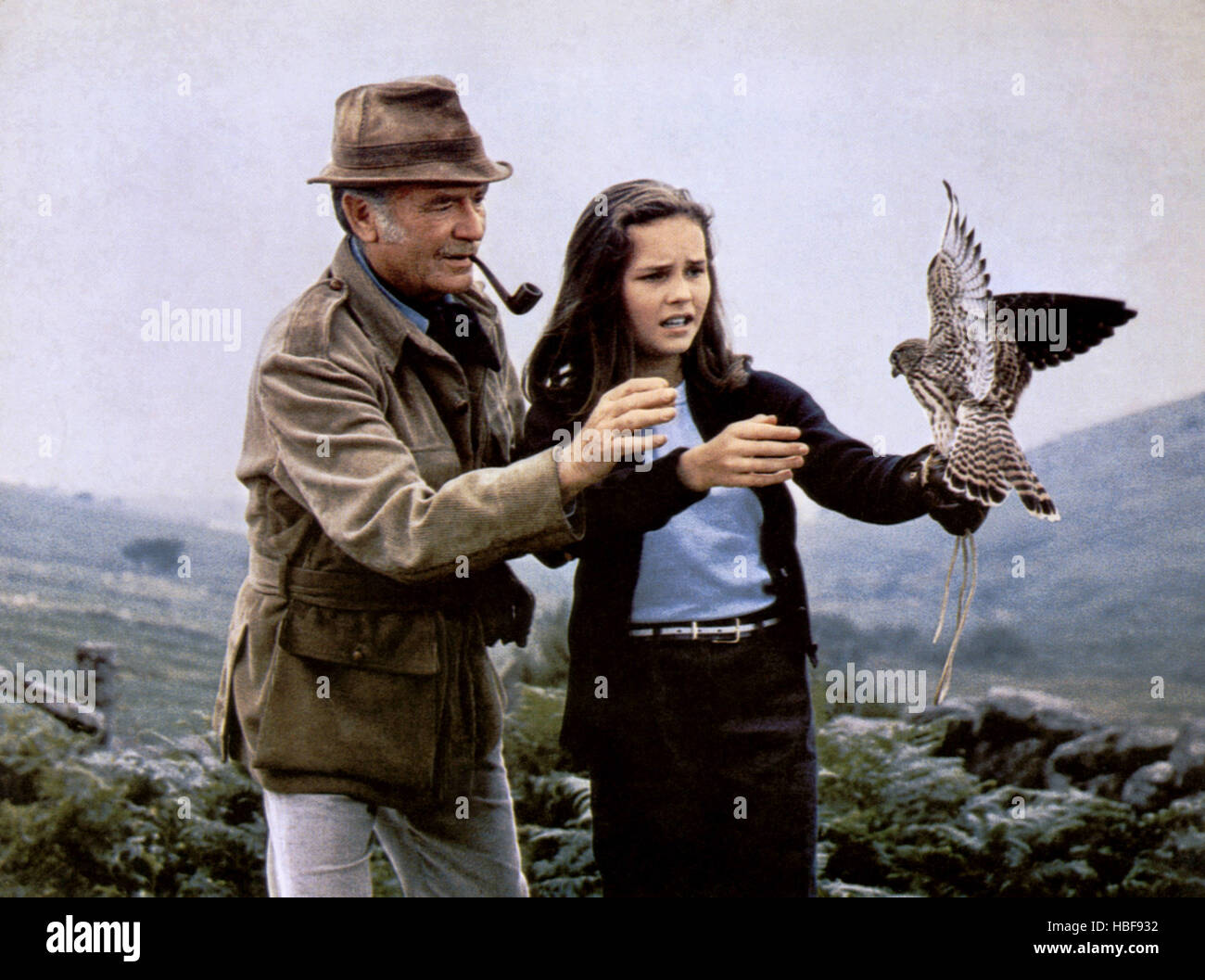 RUN WILD, RUN FREE, John Mills, Fiona Fullerton, 1969 Stock Photo - Alamy