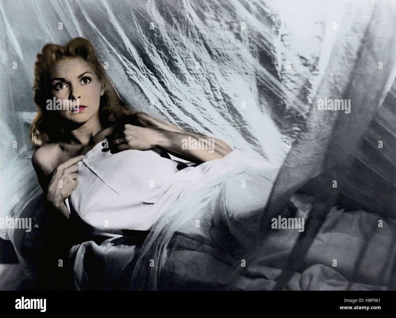 SAFARI, Janet Leigh, 1956 Stock Photo - Alamy