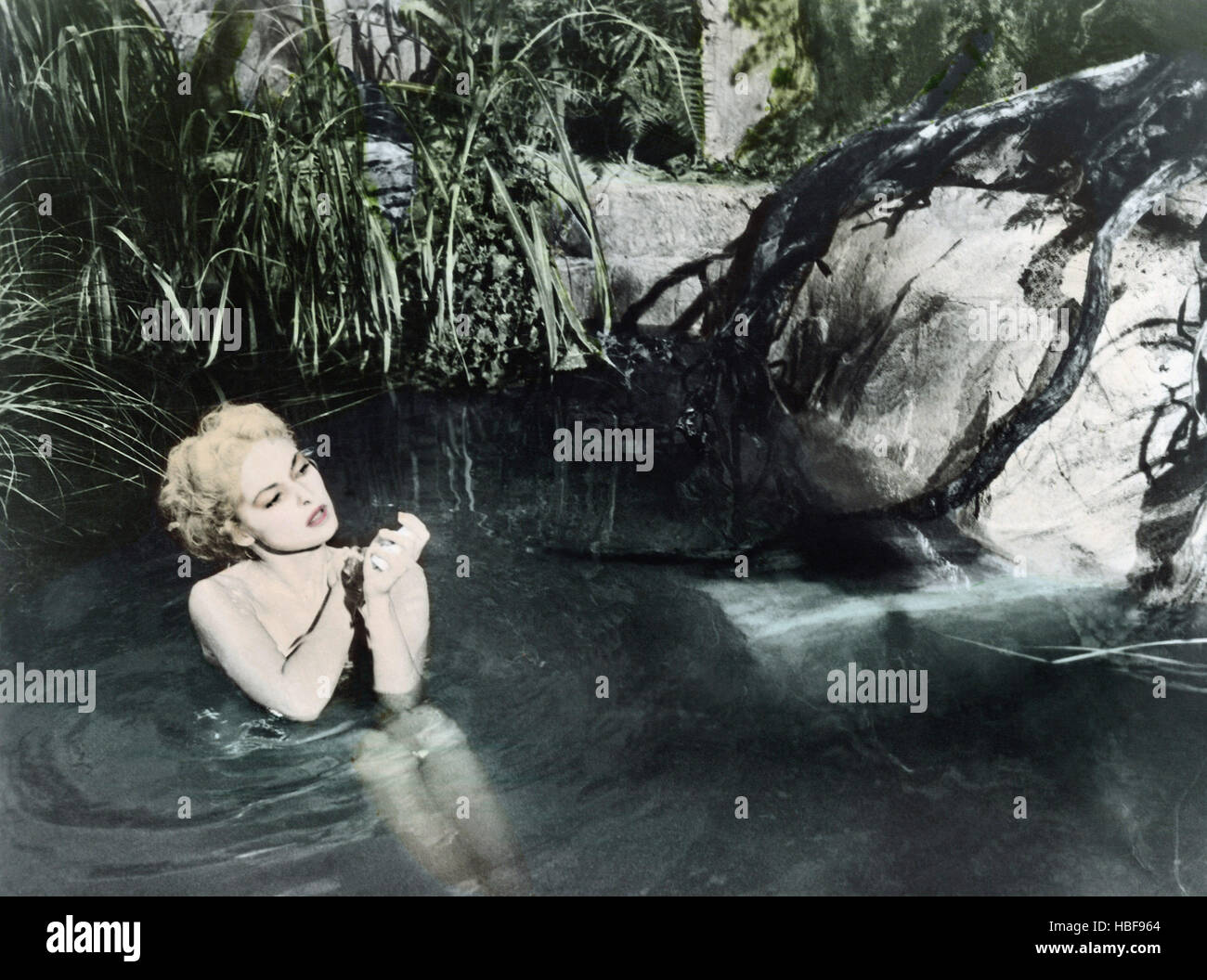 SAFARI, Janet Leigh, 1956 Stock Photo - Alamy