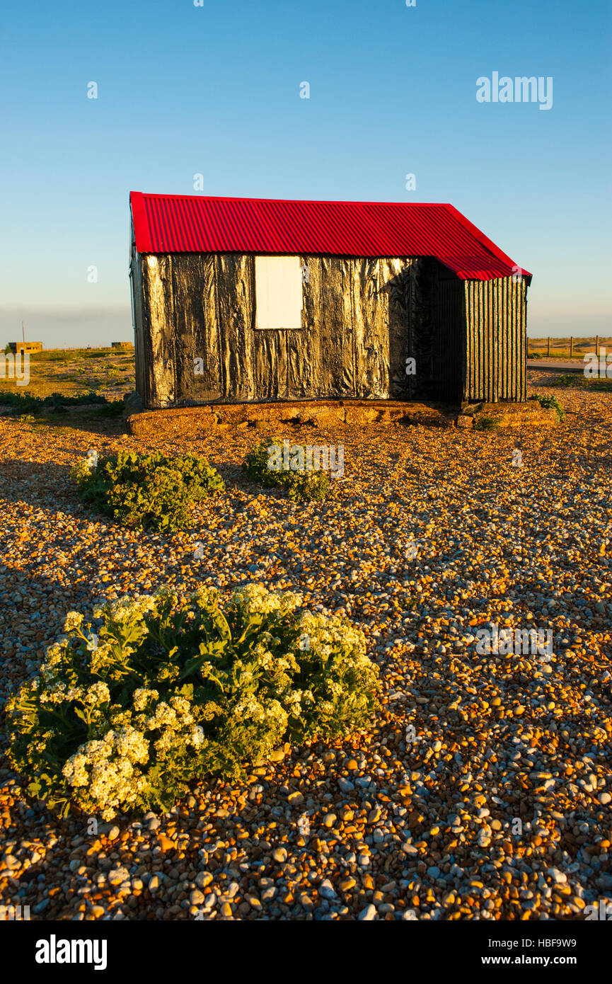 Fishermans hut on the beach at Rye Harbour Stock Photo - Alamy