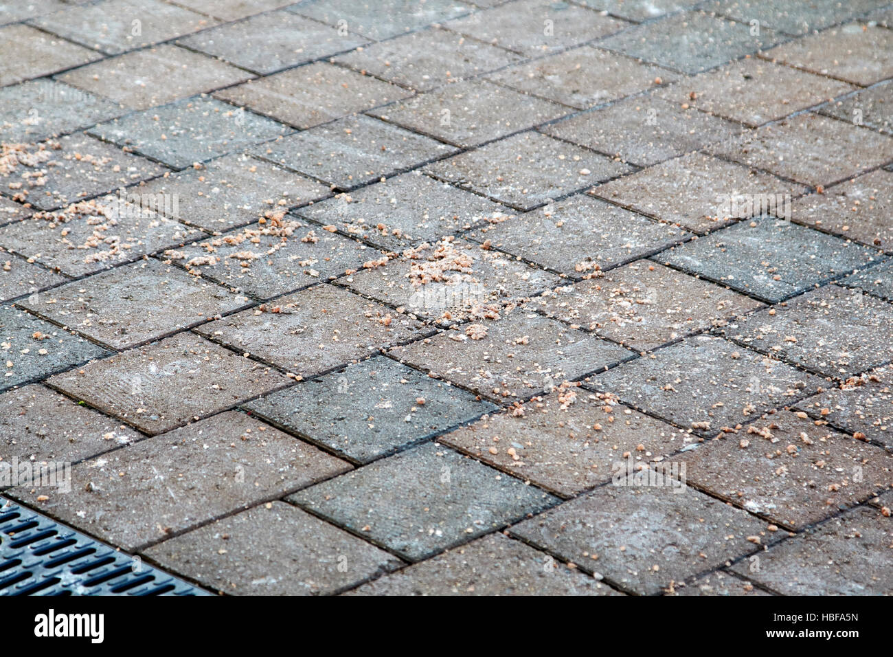 Grit pathway hi-res stock photography and images - Alamy