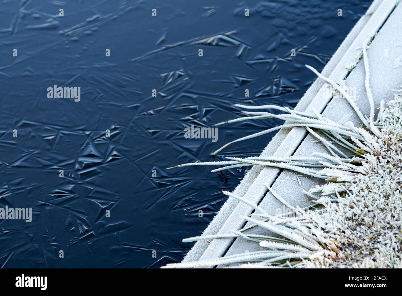 frost on edge of frozen small lake pond on a cold winter morning in the ...