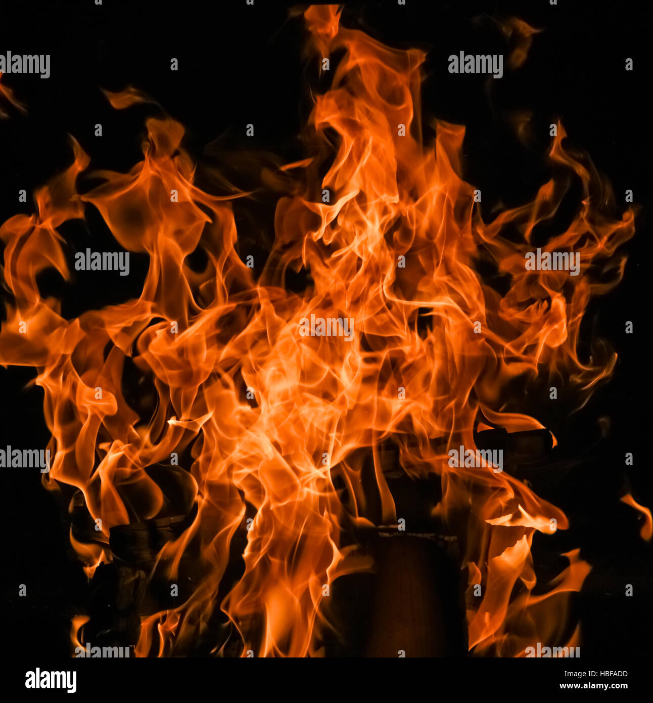 raging flames red fire black background Stock Photo - Alamy