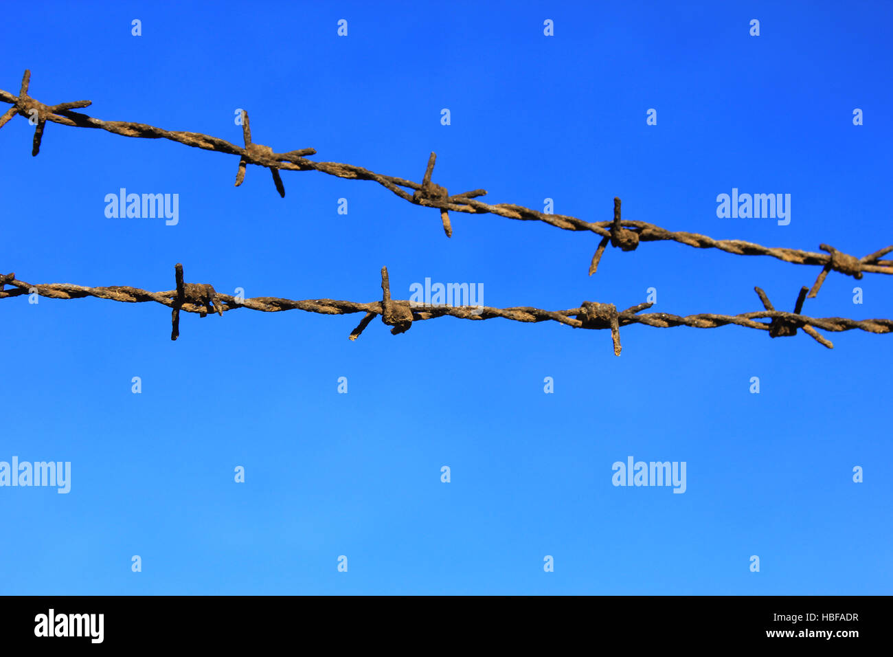 Sting wire hi-res stock photography and images - Alamy