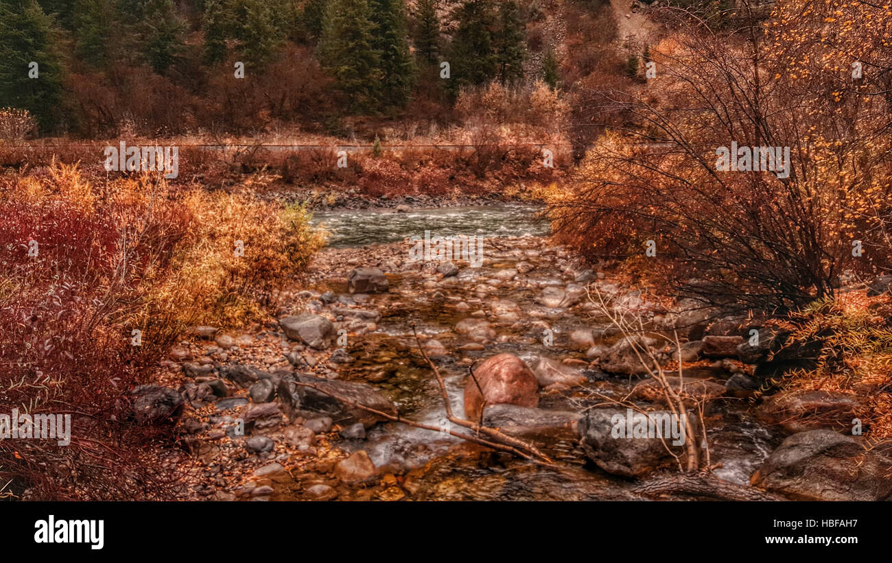 A rver in Colorado bathed in fall colors Stock Photo - Alamy