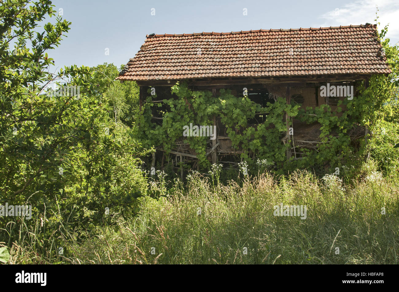 Old farm barn facade Stock Photo - Alamy