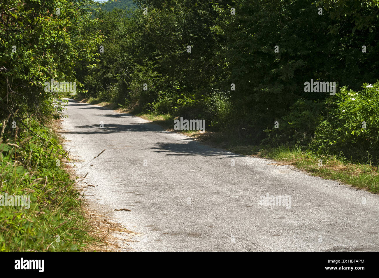 Asphalt country road Stock Photo - Alamy