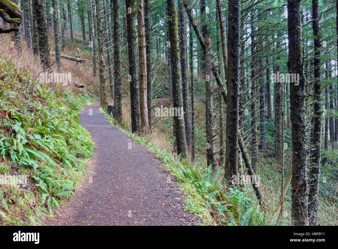 A well defined hillside path to Lookout Point in Oregon Stock Photo - Alamy
