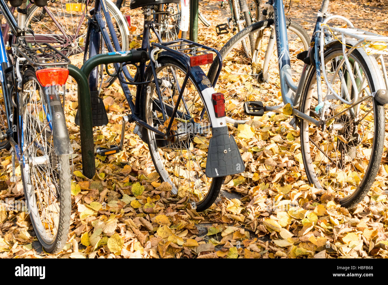 Three cycles locked to rails Stock Photo - Alamy