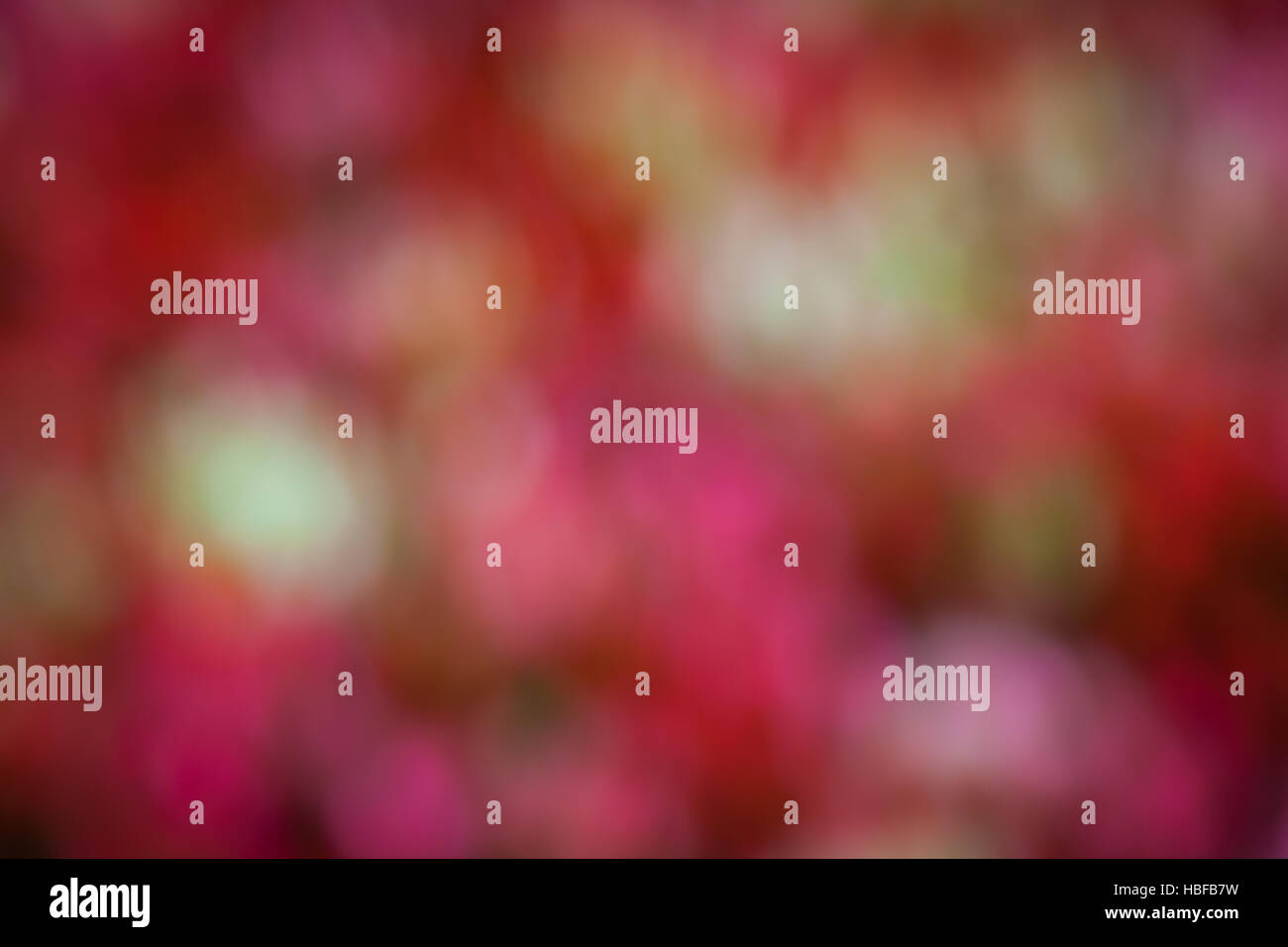 Diffused colors hi-res stock photography and images - Alamy