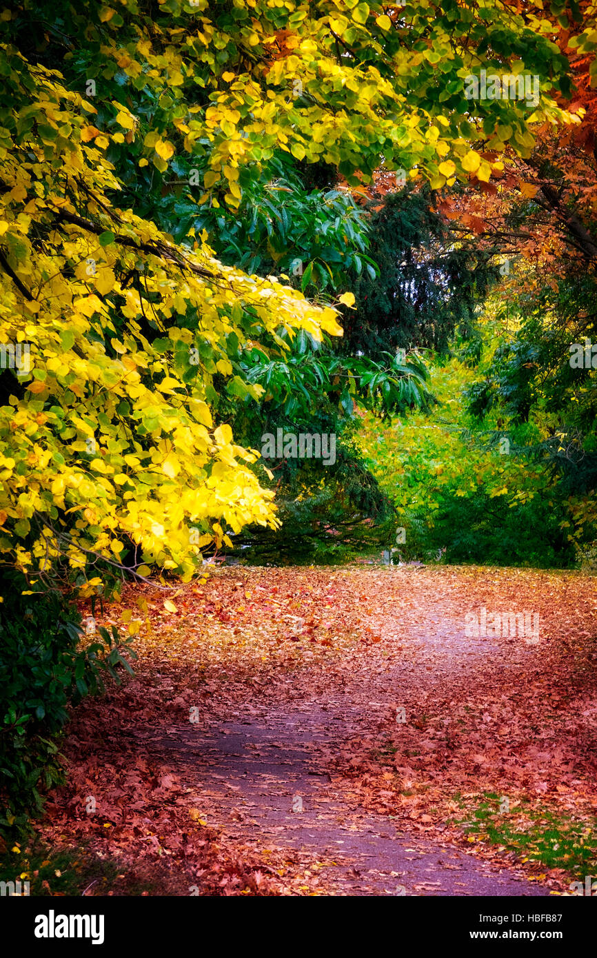 Public walkway autumn colors hi-res stock photography and images - Alamy