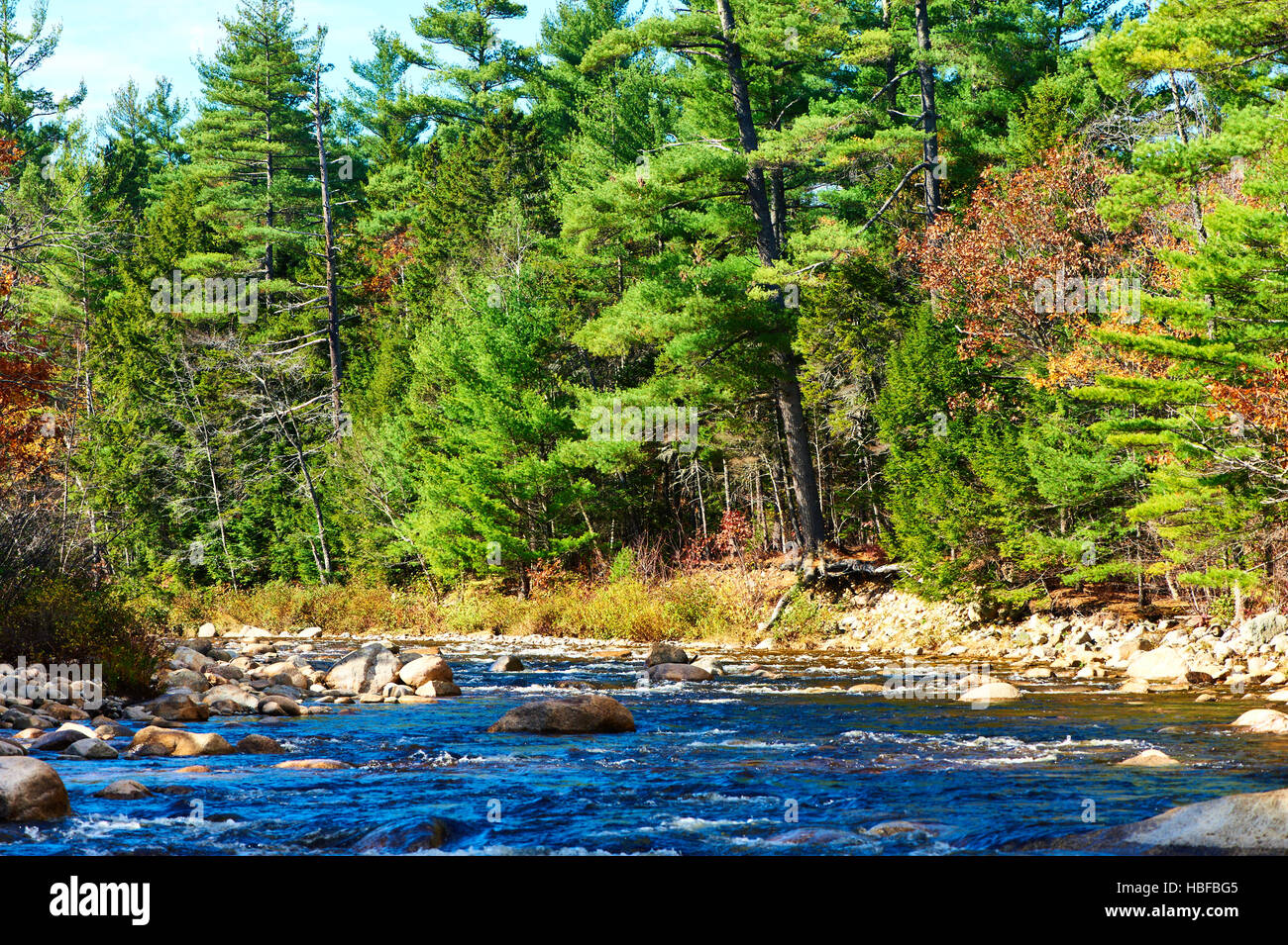 Swift River at autumn Stock Photo - Alamy