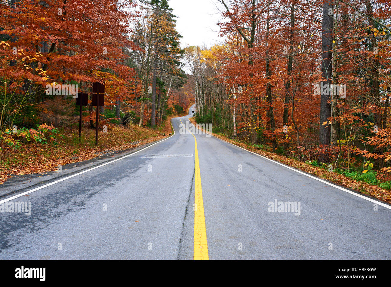 Autumn scene with road Stock Photo - Alamy