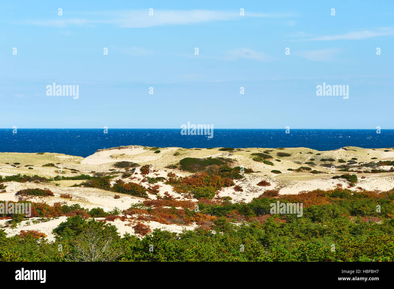 Landscape at Cape Cod Stock Photo - Alamy