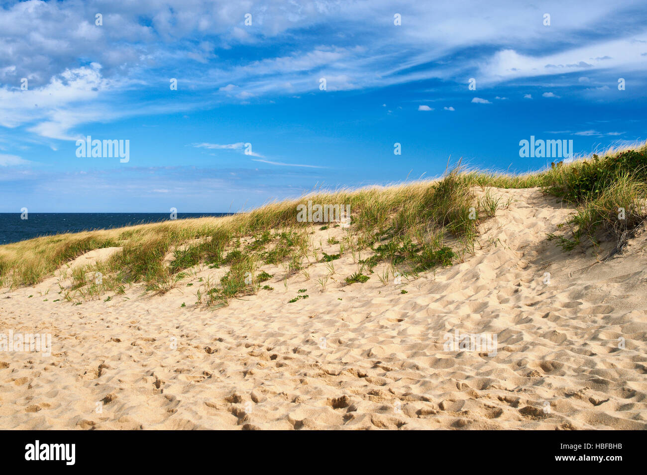 Landscape with sand dunes at Cape Cod Stock Photo - Alamy