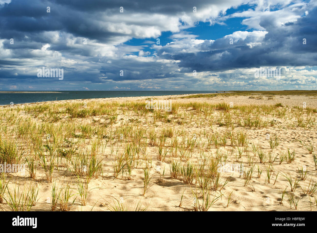 Sand dunes at Cape Cod Stock Photo - Alamy