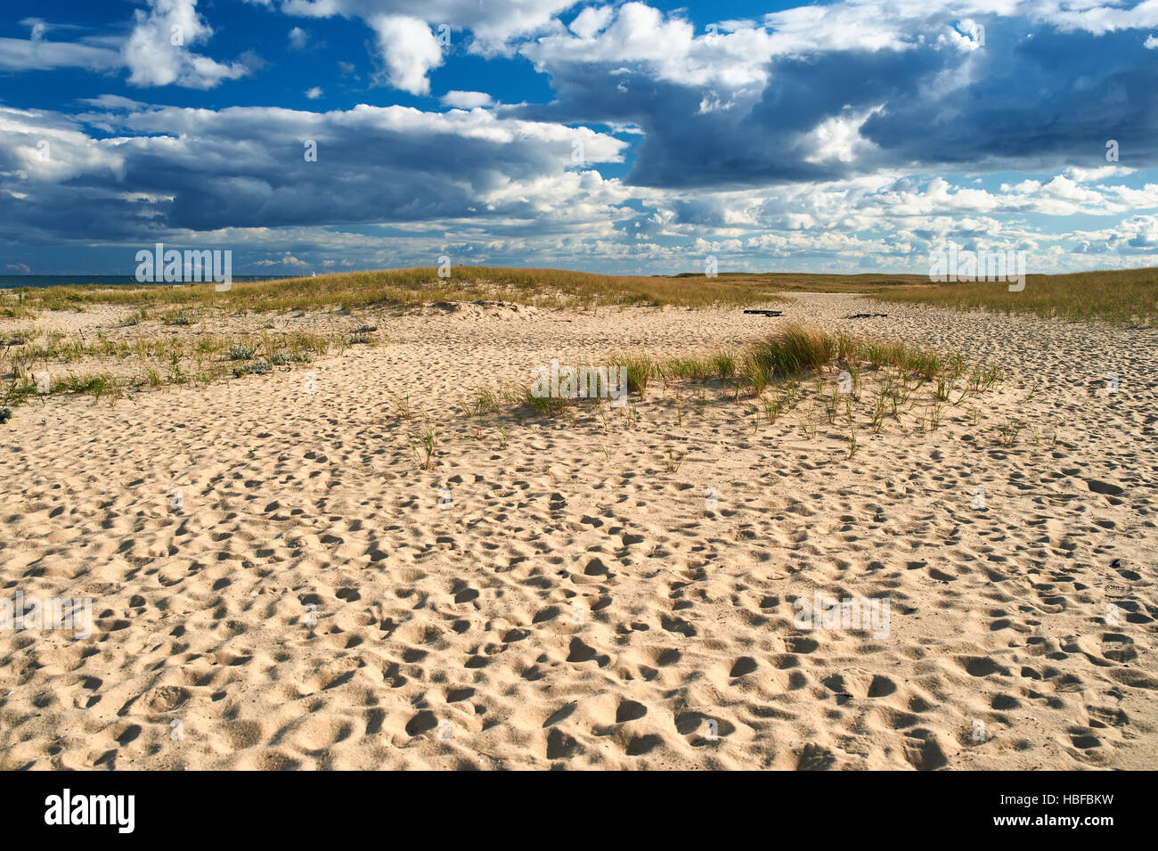Sand dunes at Cape Cod Stock Photo - Alamy
