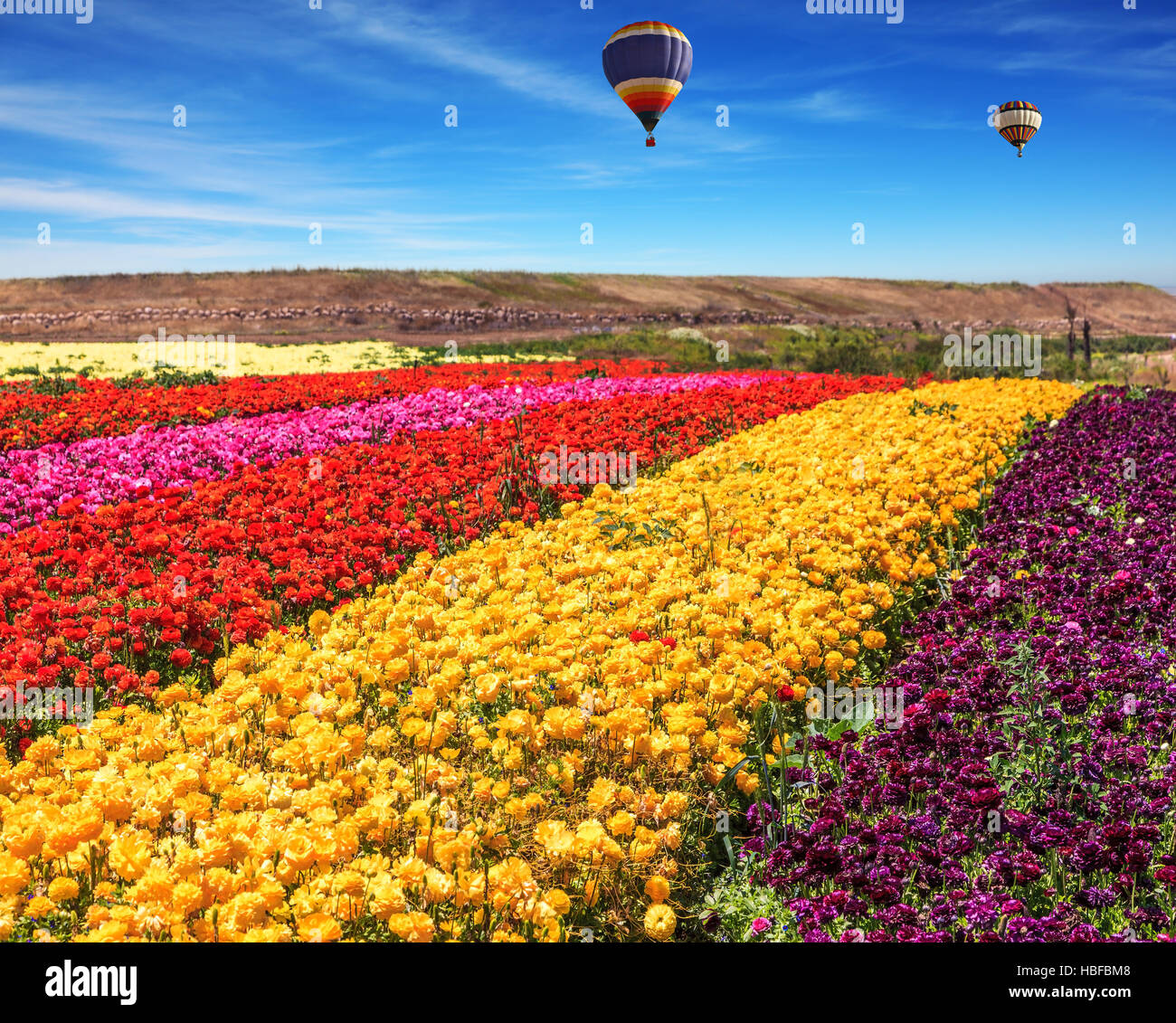Two balloons fly Stock Photo - Alamy