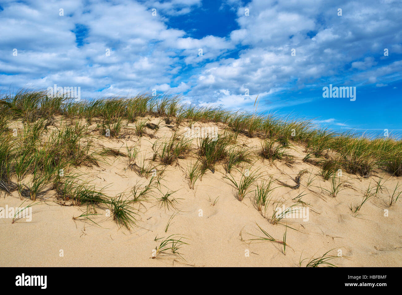 Landscape with sand dunes at Cape Cod Stock Photo - Alamy