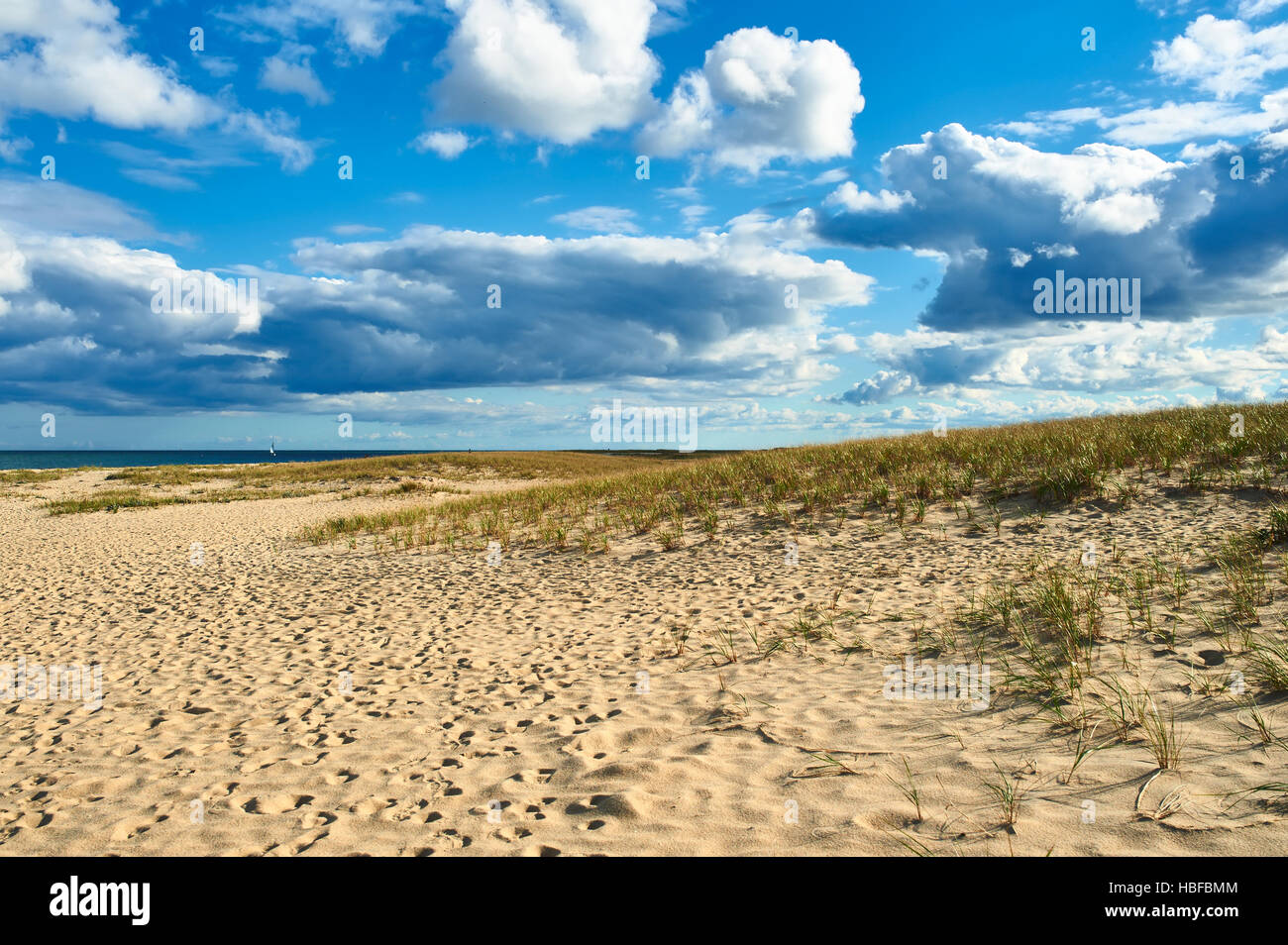 Sand dunes at Cape Cod Stock Photo - Alamy