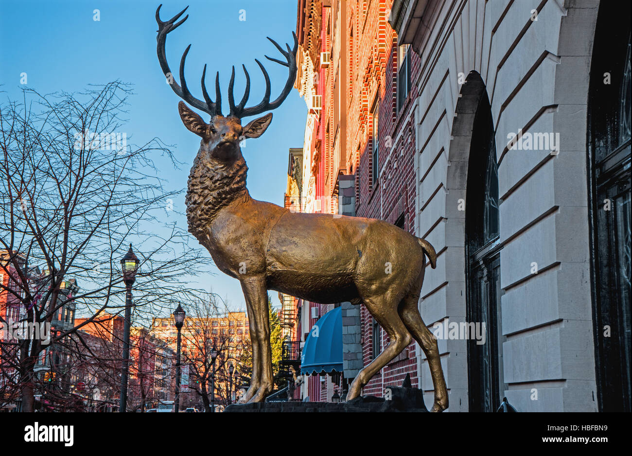 Elks club hi-res stock photography and images - Alamy